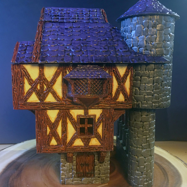 3D Printable Wizard Mansion by RLTpress