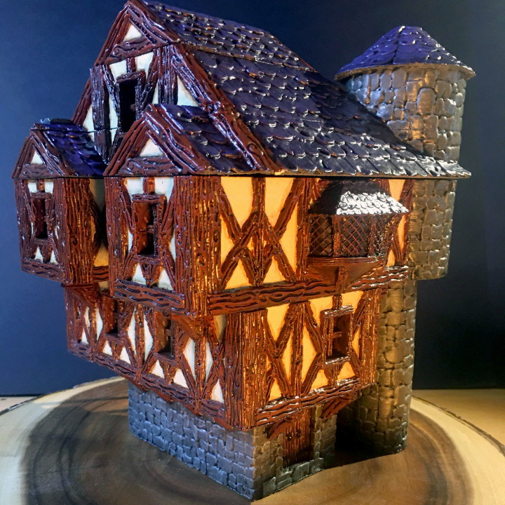 3D Printable Wizard Mansion by RLTpress