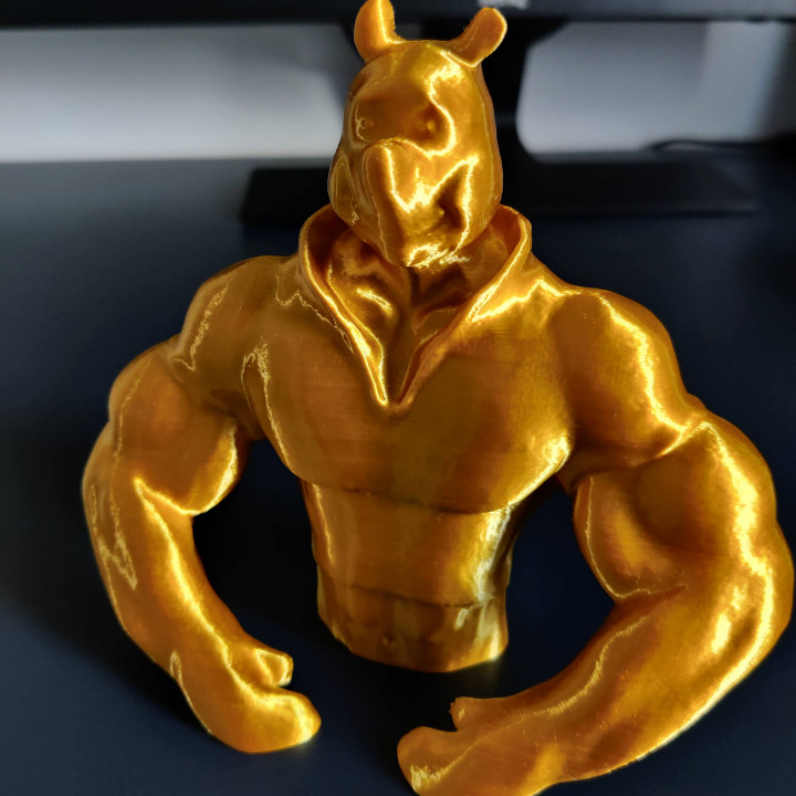 3D Printable Buff Winnie the Pooh with Jumper by Ben