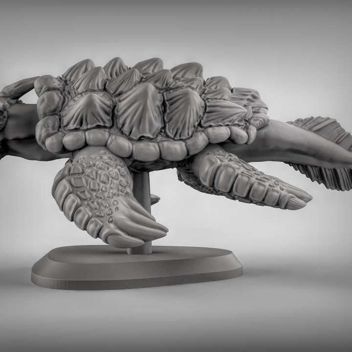 3D Printable Dragon Turtles by Duncan Shadow