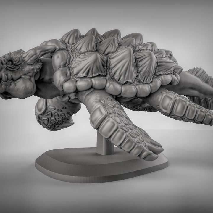 3D Printable Dragon Turtles by Duncan Shadow