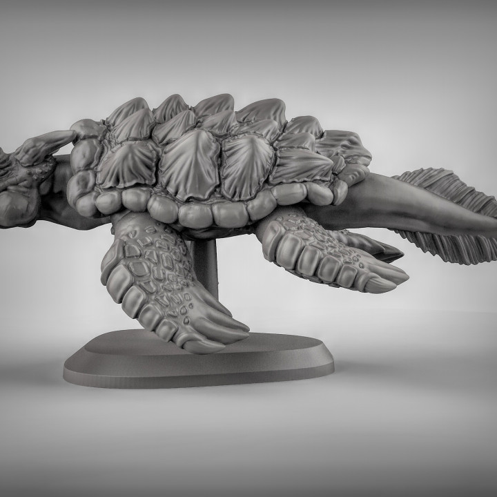 3D Printable Dragon Turtles by Duncan Shadow