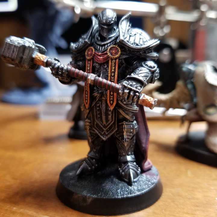 3D Print of Chlodvig du Marteau Lourd - The Paladins of The Silver Lion ...