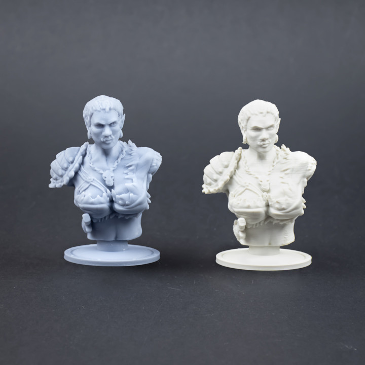 3D Printable Orc Female Bust for FDM and Pre-supported for resin by ...
