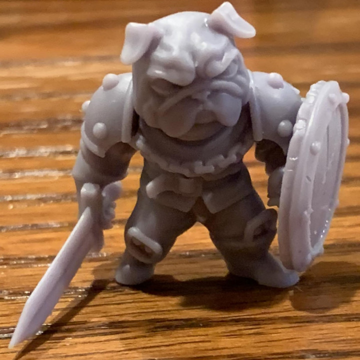 3D Print of Barkonian Pug Shield Warrior by shadowofthesamurai