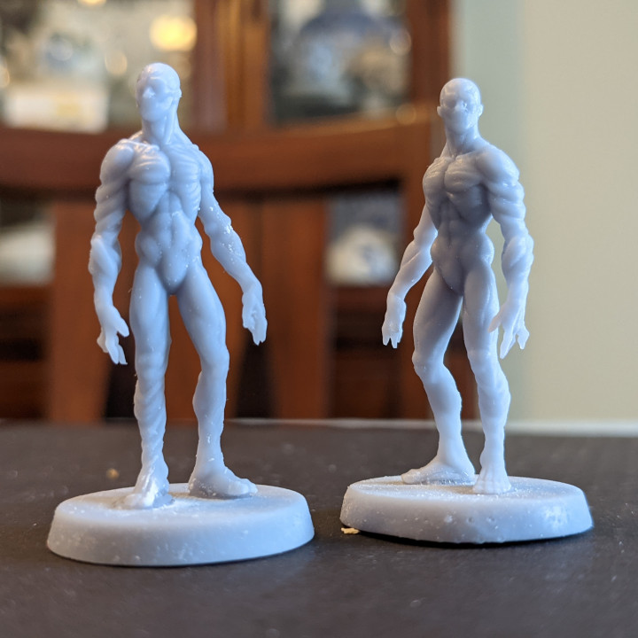 3D Print of Doppelganger by giovannipimentel