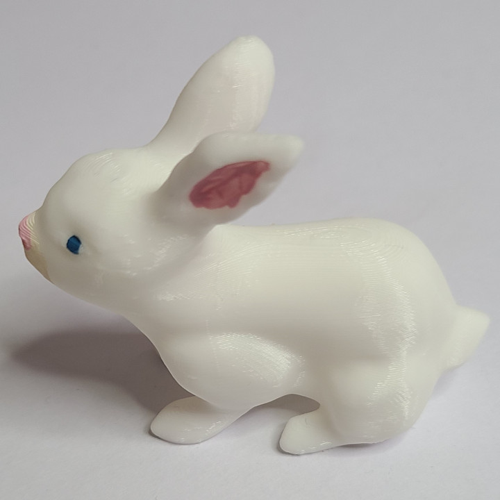 3D Printable Bunny by Andrew Goldberg