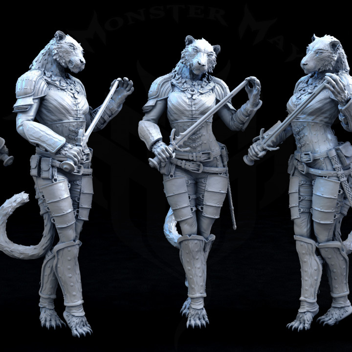 3D Printable Cat Kin male and female(30-40mm scale) by Mini Monster Mayhem