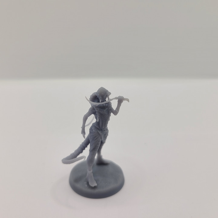 3D Print of SnakeFolk duo by BaconuCrazy