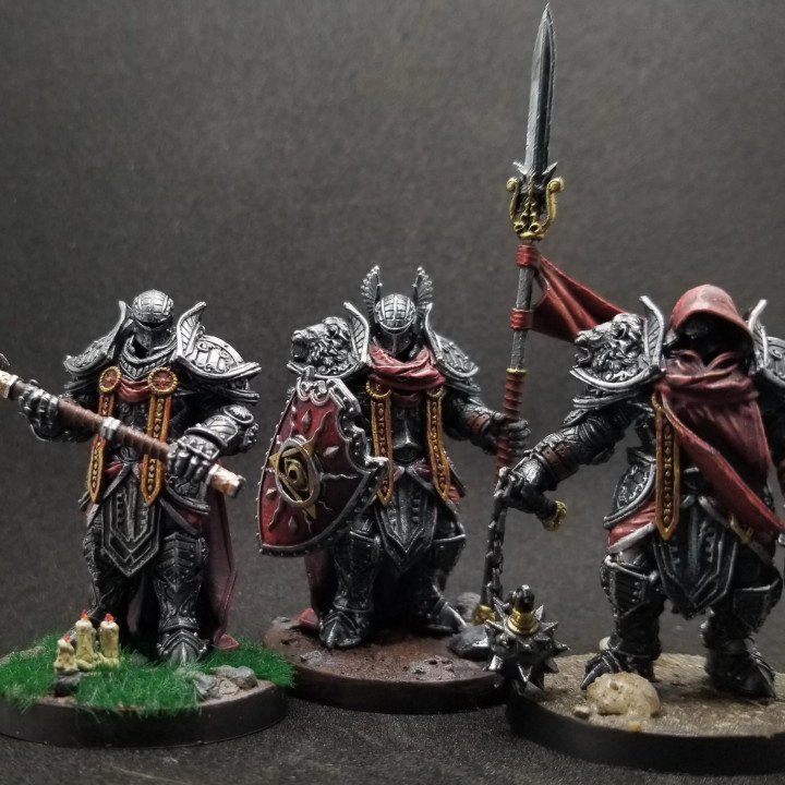 3D Print of The Paladins of The Silver Lion - COMPLETE PACK Da Strill