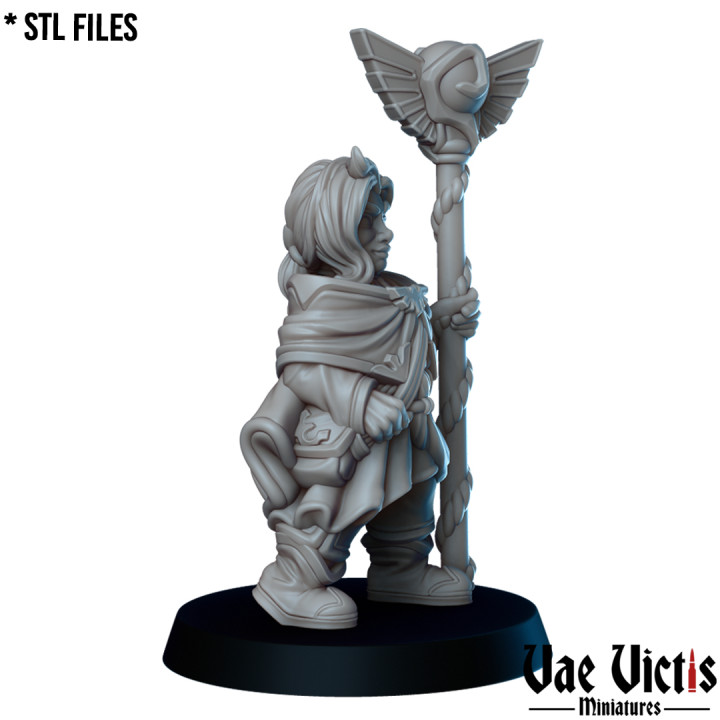 3D Printable The Gnome healer by Vae Victis Miniatures