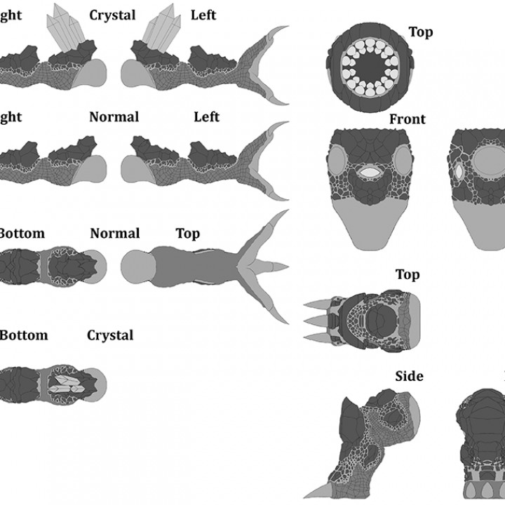 3D Printable Xorn / Zorn / Rock-Monster by nonPareil Institute