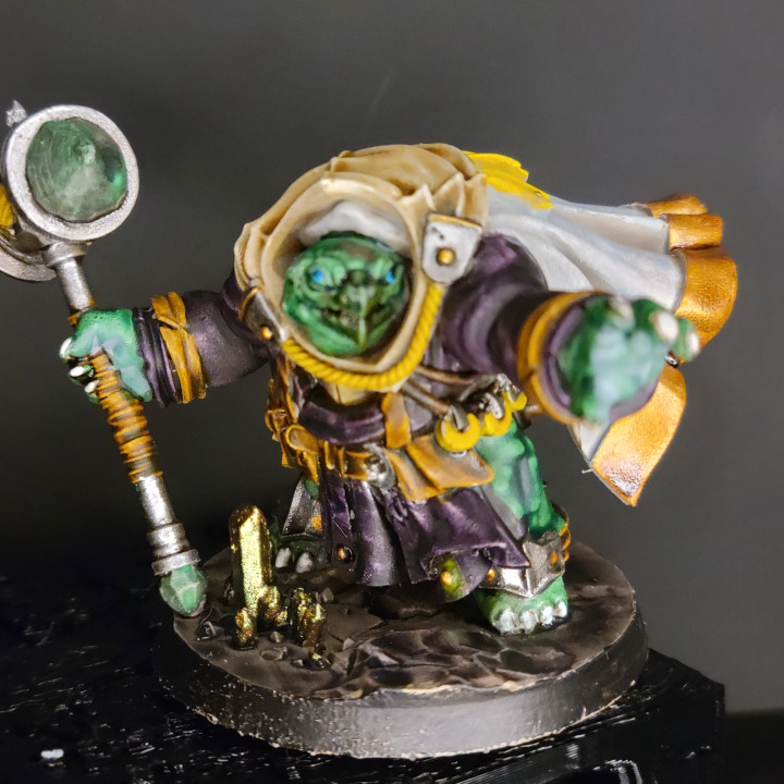 3D Print of Tortle Cleric by M33rkat