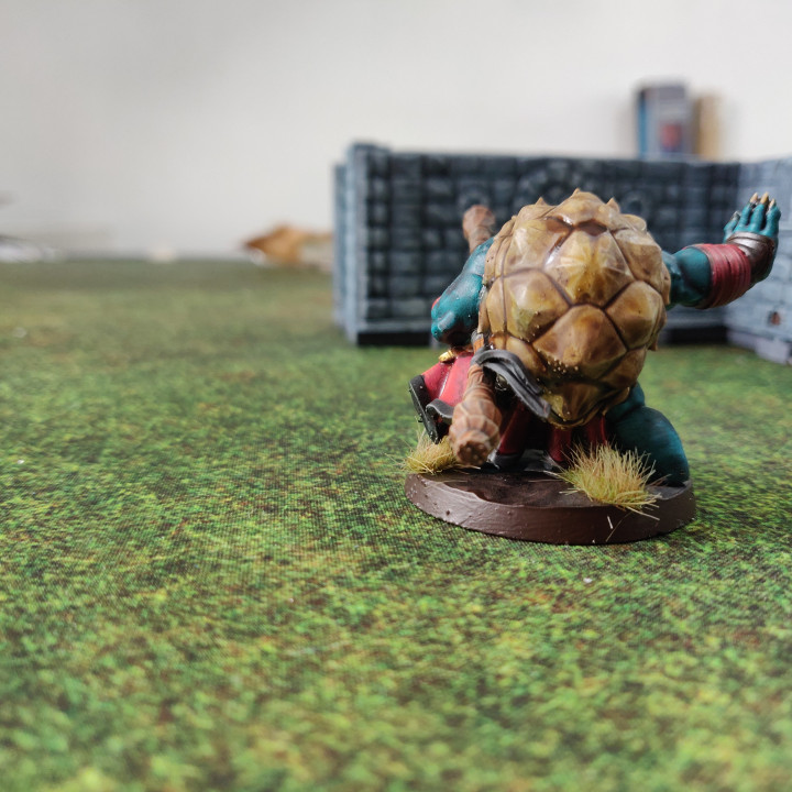 3D Printable Tortle Monk by Bite the Bullet