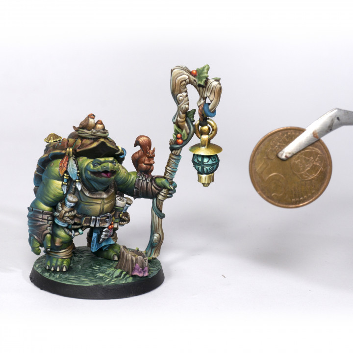 3D Printable March 2021 Release - Tortles by Bite the Bullet