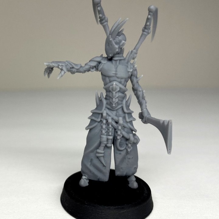 3D Printable Coven Leader - Set 6 - Cursed Elves by Edge Miniatures