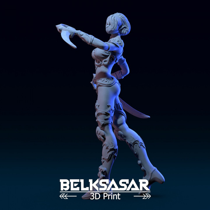3D Printable Female Elf Assassin 2 variants by Belksasar