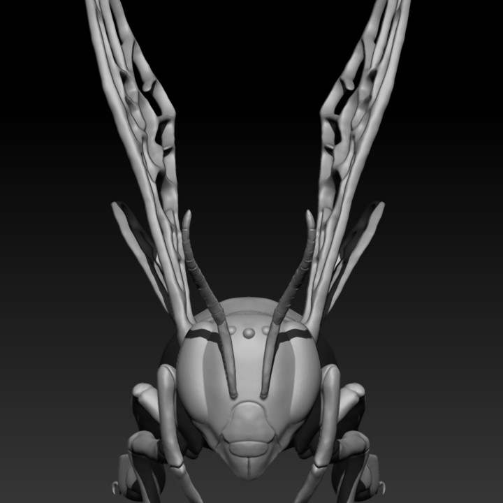 3D Printable Honey Bee by Pete Andrew