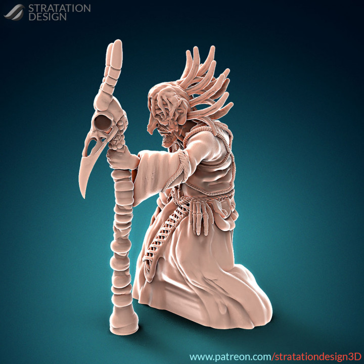 3D Printable Swamp Witch by Stratation Design