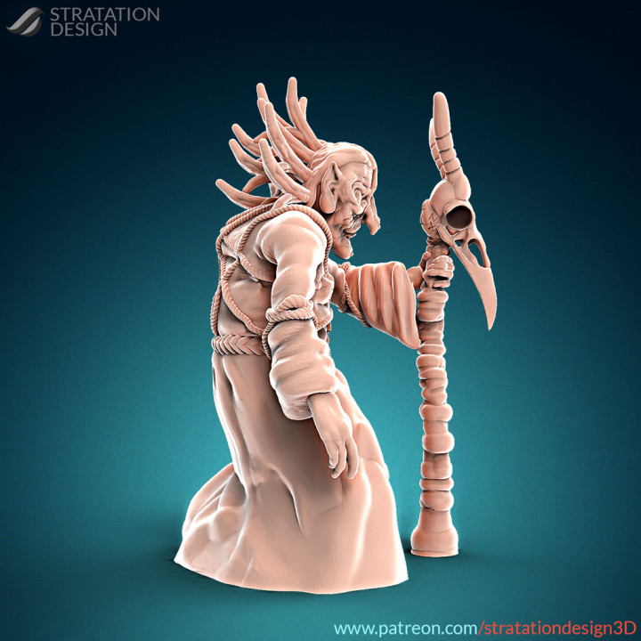 3D Printable Swamp Witch by Stratation Design