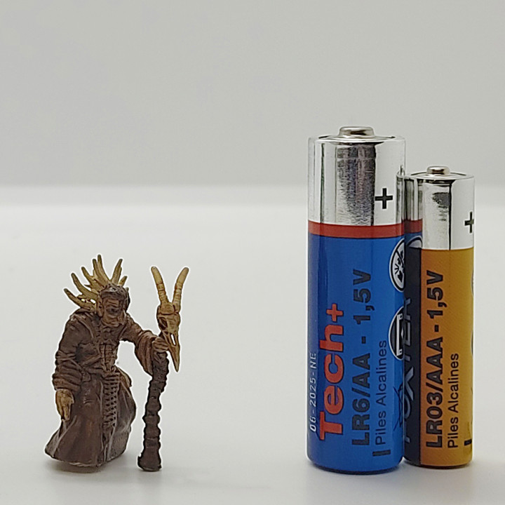 3D Printable Swamp Witch by Stratation Design