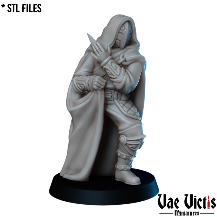 3D Printable The Masked assassin by Vae Victis Miniatures