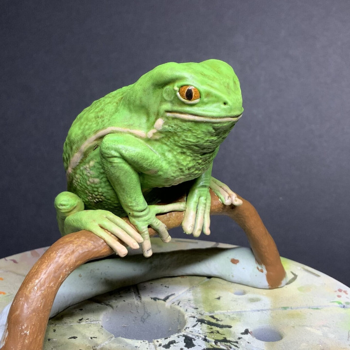 3D Printable Waxy Monkey Tree Frog by Keith Talbot