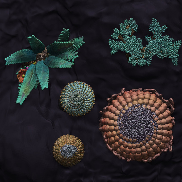 3D Printable More Prehistoric Plants - Williamsonia and Modular ...