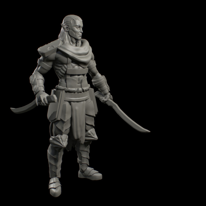3D Printable Drow Warrior Male by Jeremy Smith