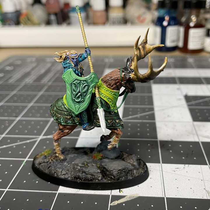 3D Print of Glaive, son of Faeren - The Elves of the High Hollow by ...