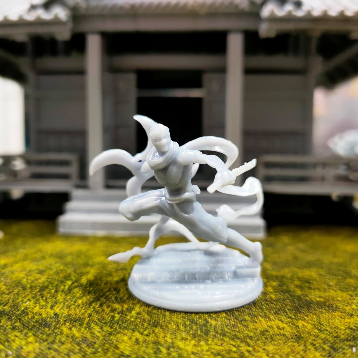 3D Printable elite ninja by Village's Hope Miniatures