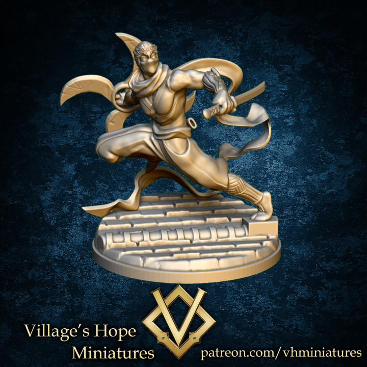 3D Printable elite ninja by Village's Hope Miniatures