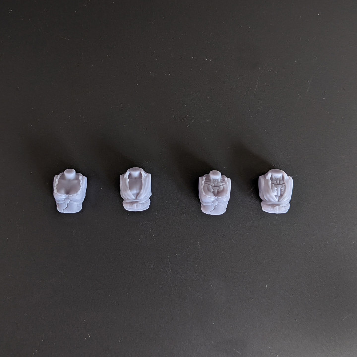 3D Printable Modular Swift Pirate Crew - Space Pirates Collection by ...