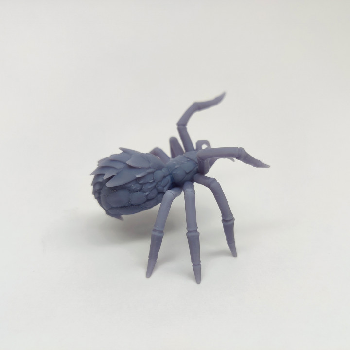 3D Printable Giant Spiders - Basic Monsters Collection by 3DeRatopsStudio