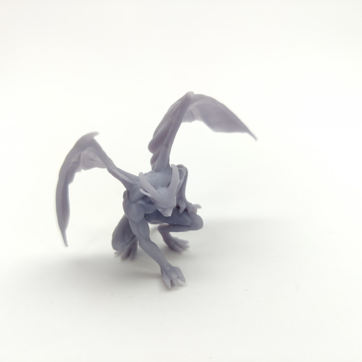 3D Printable Gargoyles - Basic Monsters Collection by 3DeRatopsStudio