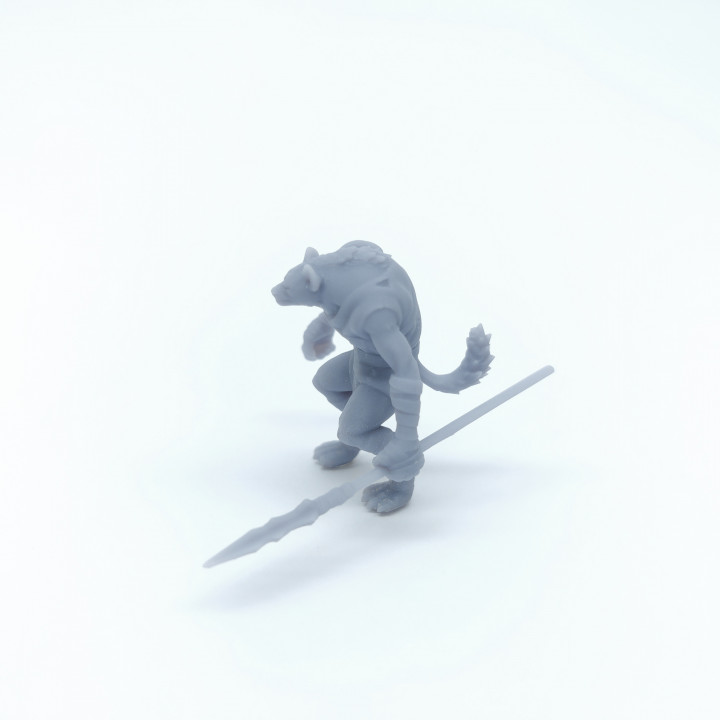 3D Printable Gnolls - Basic Monsters Collection by 3DeRatopsStudio