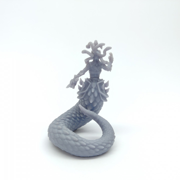 3D Printable Medusa - Basic Monsters Collection by 3DeRatopsStudio