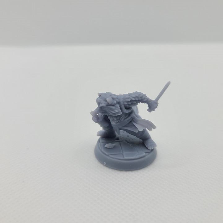 3D Print of Tanuki with Sword - Yokai - Titan Forge Miniatures April ...