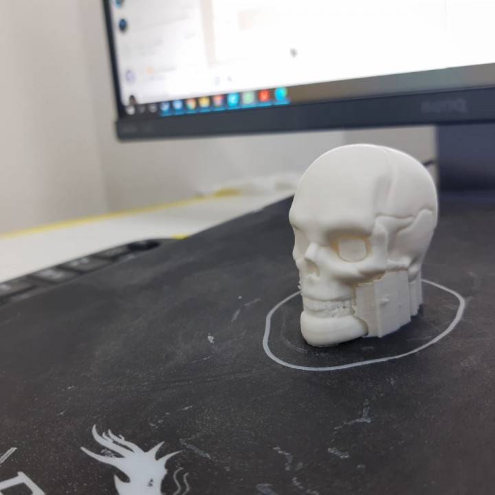 3D Printable Human skull by Maher Saad