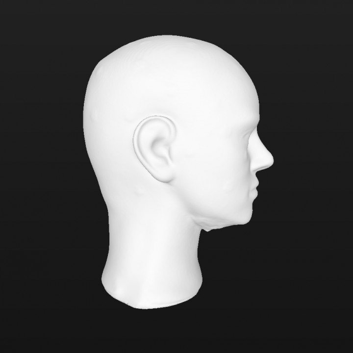 3D Printable RUBBER HEAD MODEL（GENERATED BY REVOPOINT POP） by Revopoint3D