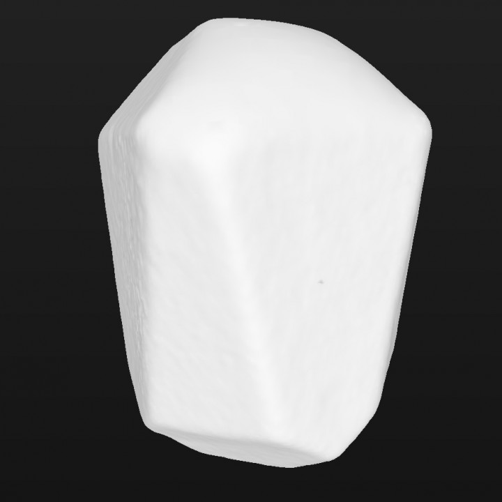 3D Printable SMALL RUBBER OBJECT (GENERATED BY REVOPOINT POP) by ...