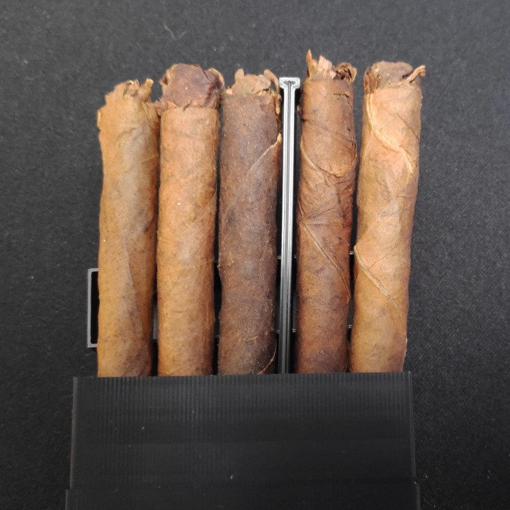 3D Printable Cigar Case for Backwoods Brand Hand-Rolled Cigars by Robbie Ferguson