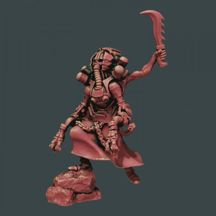 3D Printable The Cyber Liches | dark evil cyborg space pain elf of ...