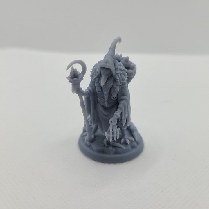 3D Print of Kenku druid 75mm and 32mm scale + dnd 5e stats block pre ...