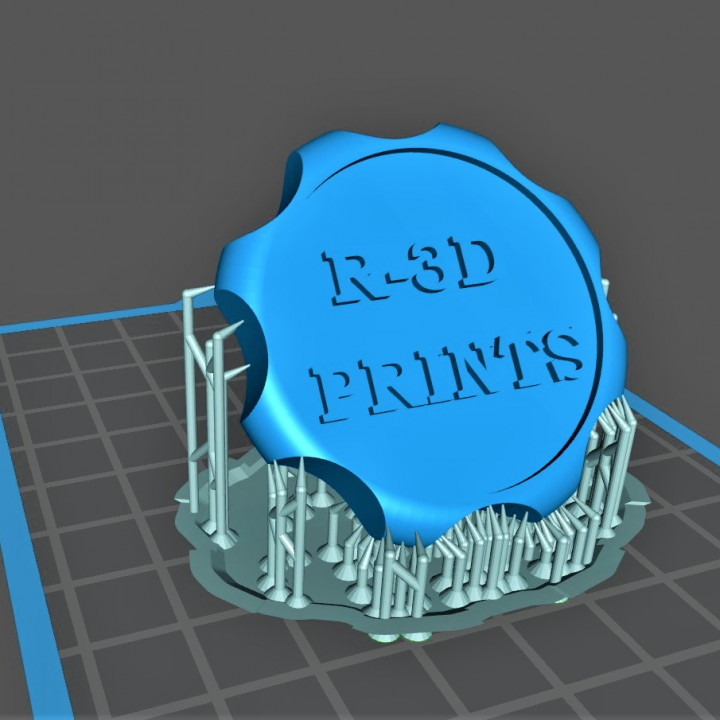 3D Printable R-3D Prints Coin by Eric Rubeck