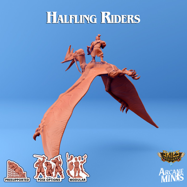3D Printable Halfling Rider 2 by Sordane Publishing