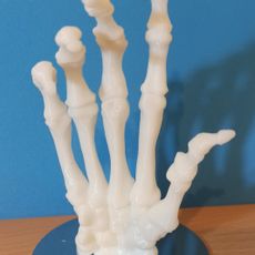 3D Printable Bone Hand Free STL by Black Moon Workshop