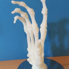 3D Printable Bone Hand Free STL by Black Moon Workshop