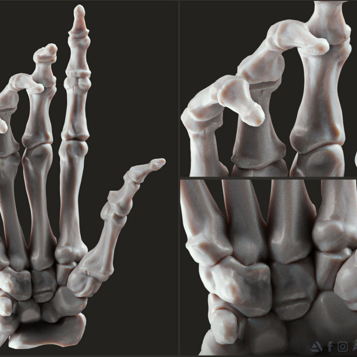 3D Printable Bone Hand Free STL by Black Moon Workshop