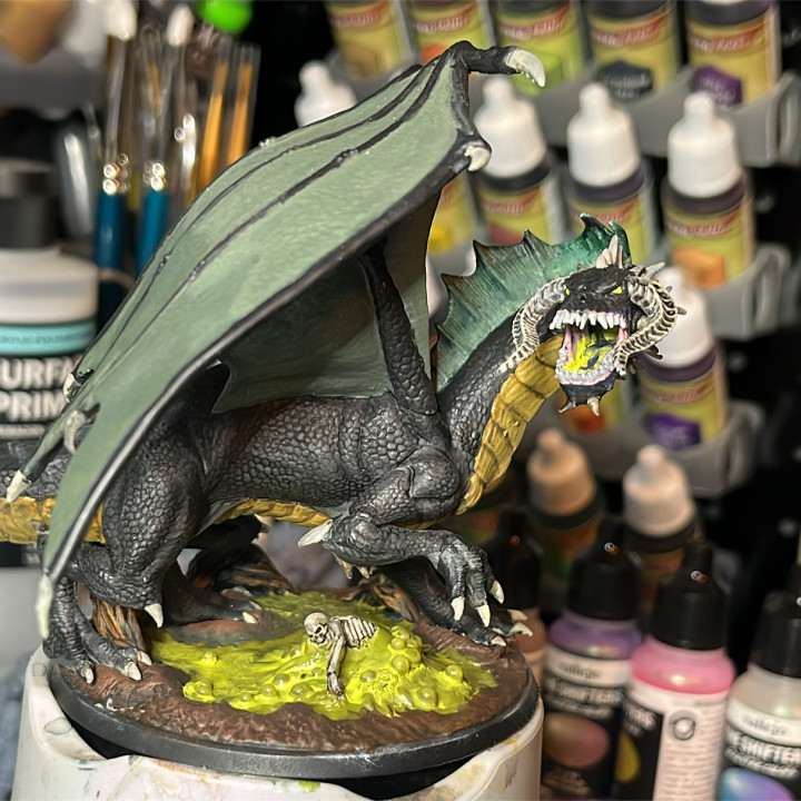 3D Print of Adult Acid Dragon / Classic Swamp Encounter / Black Skull ...